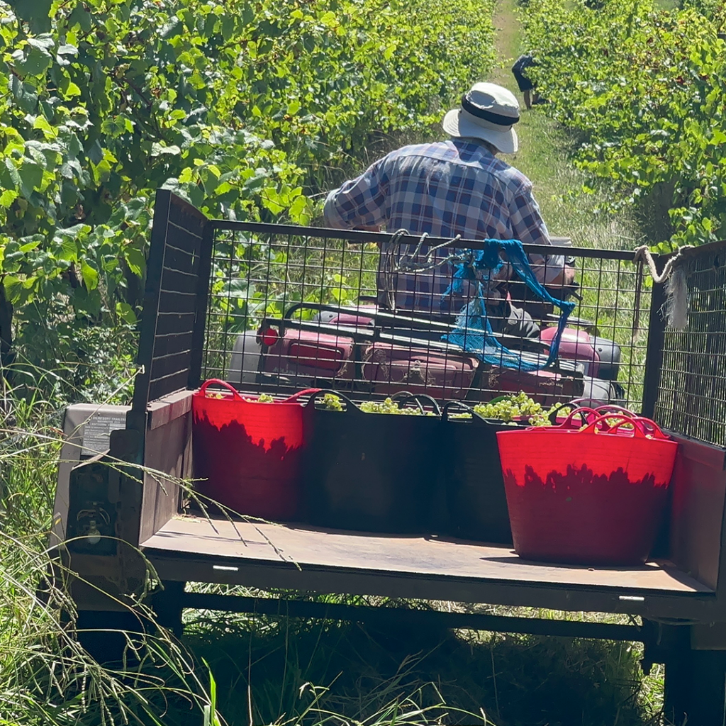 Farms/agricultural - Adam Pest Control