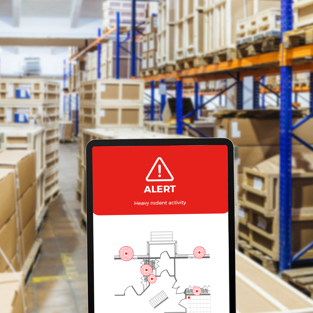 Transport & Logistics - Adam Pest Control