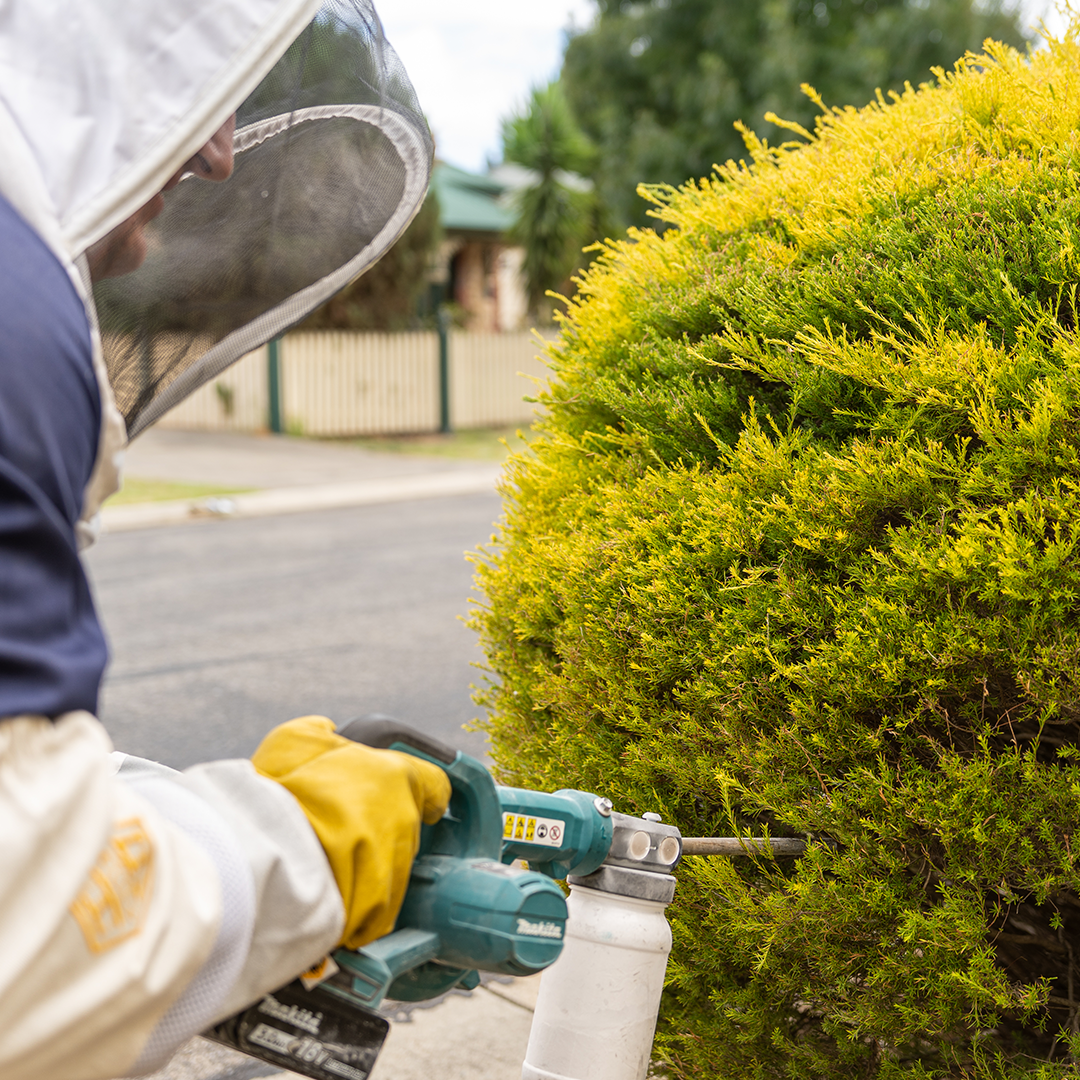 Recreational Facilities - Adam Pest Control